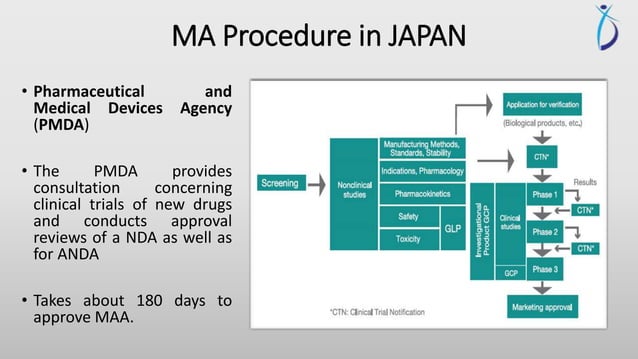 Marketing Authorization procedures in developed and developing ...