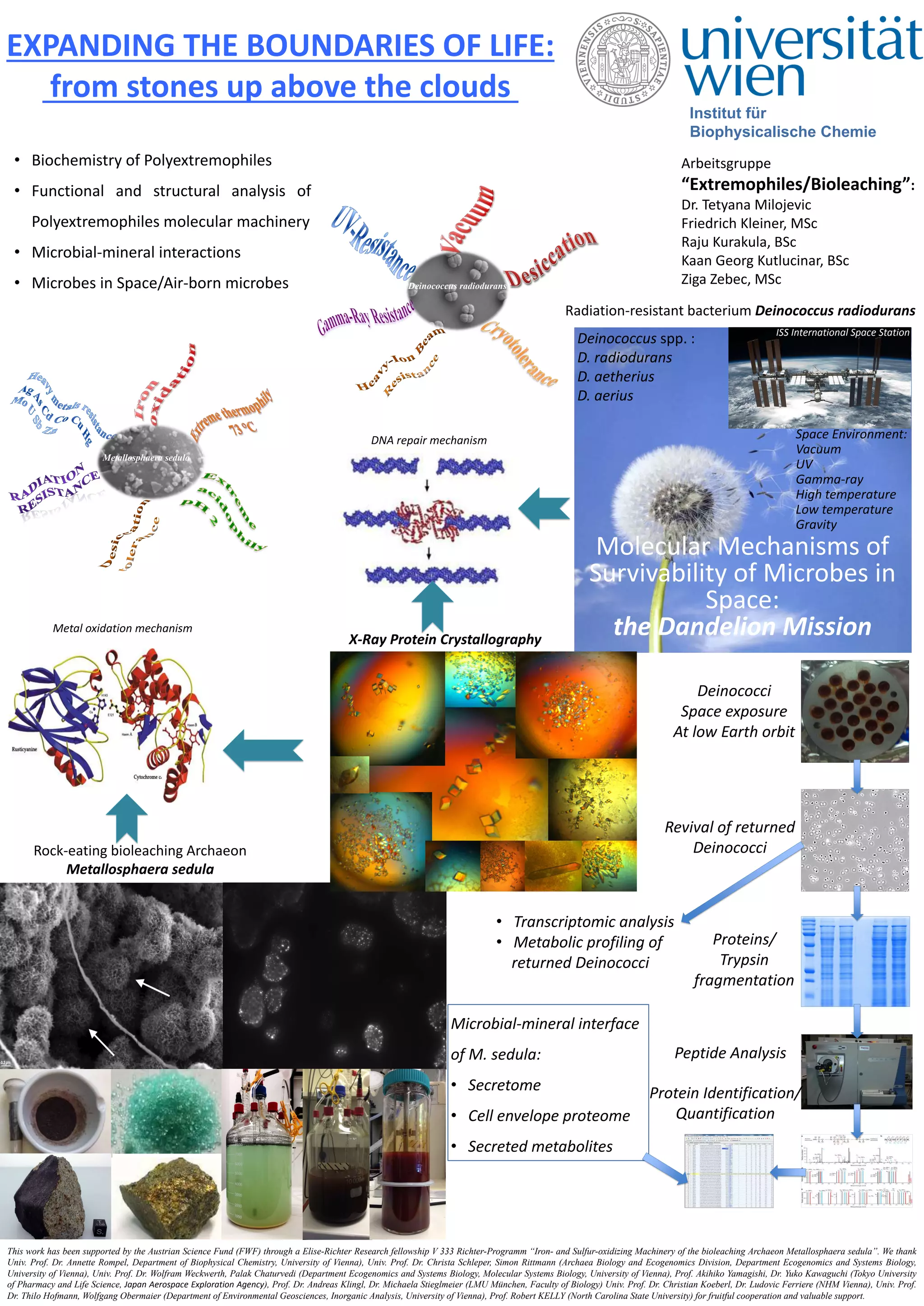 UmveltVerbundPoster2 | PPTX