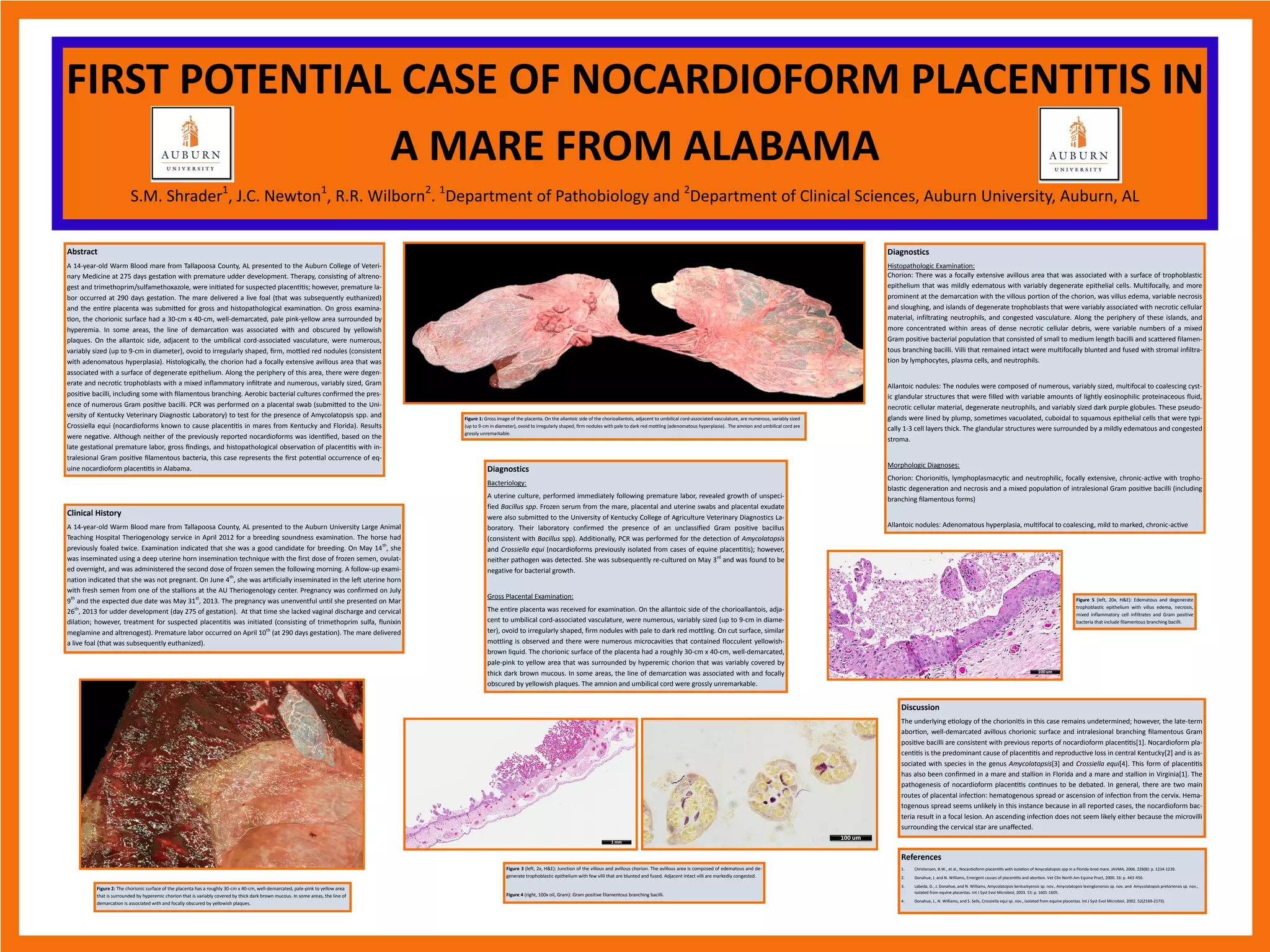 Nocardioform placentitis ACVP | PPT