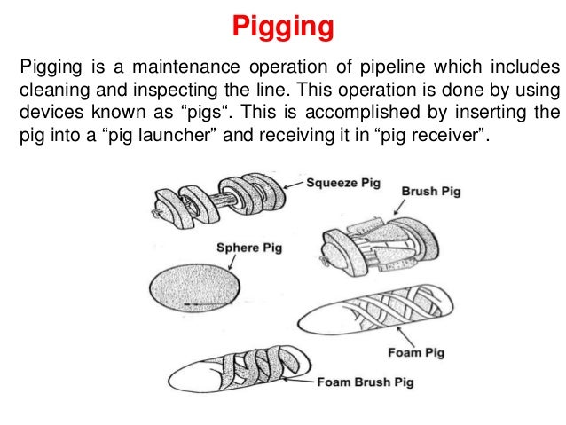Final Project Presentation