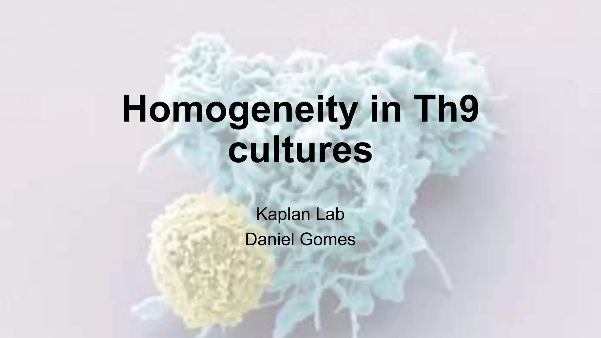 Summer research Homogenity in Th9 cultures 2 | PPTX