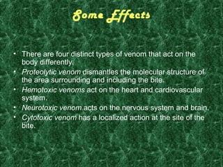 Biology project | PPT