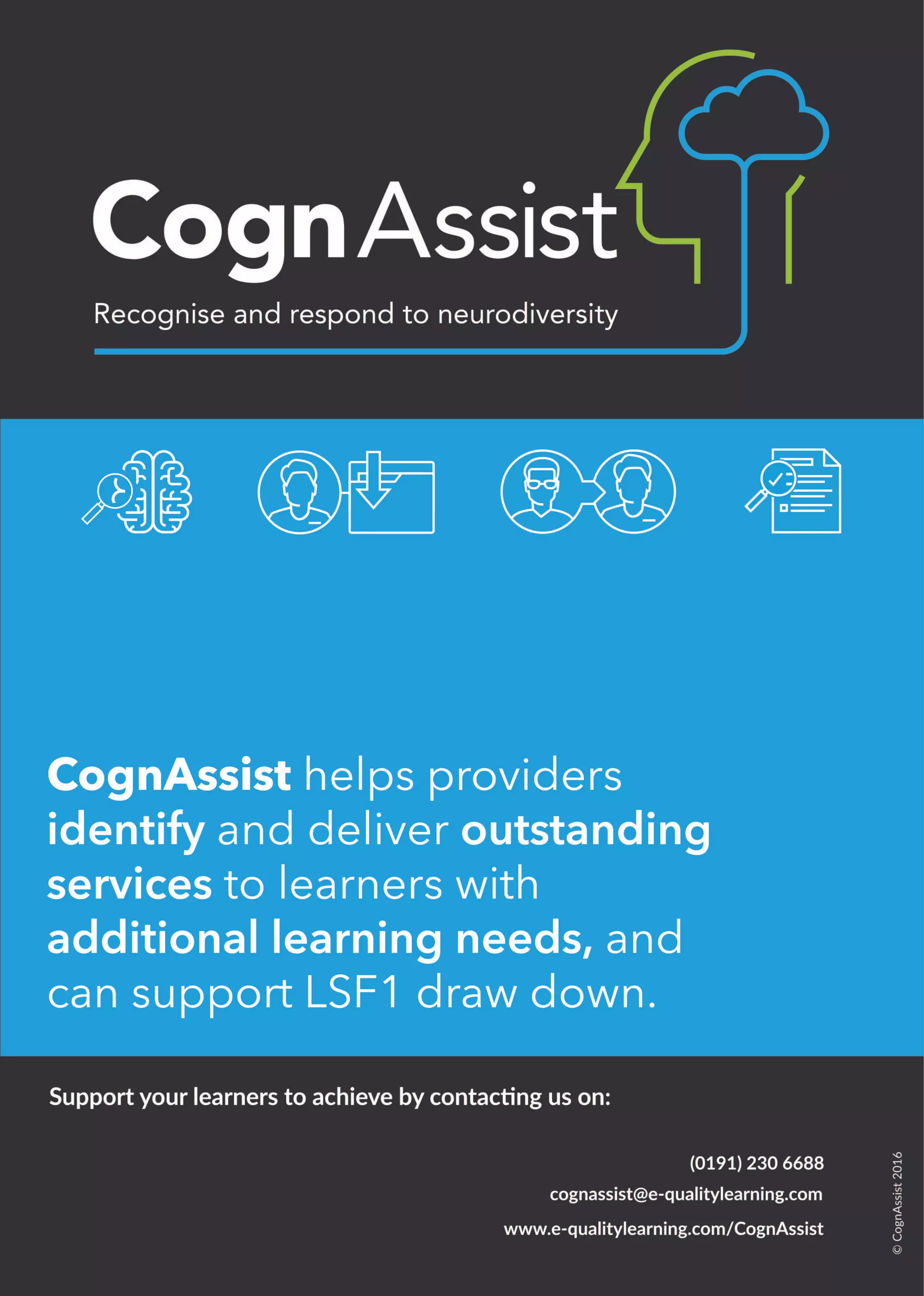 CognAssist A4 Explaination Leaflet | PDF