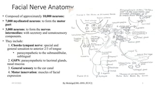 6 facial nerve Clinical anatomy, and diseases.pptx