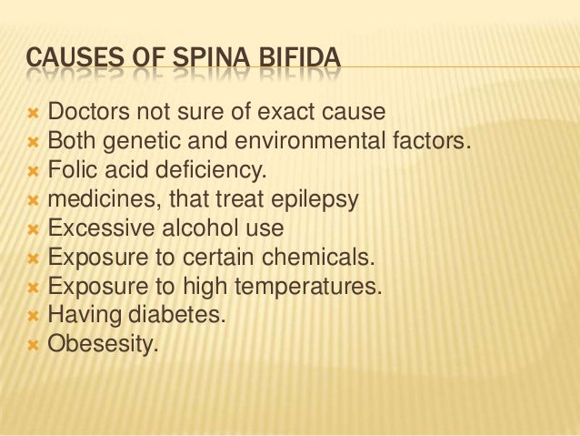 Spina Bifida Causes