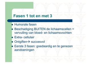 6 Fasen B | PDF