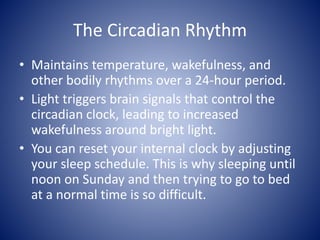 Sleep Hygiene | PPTX