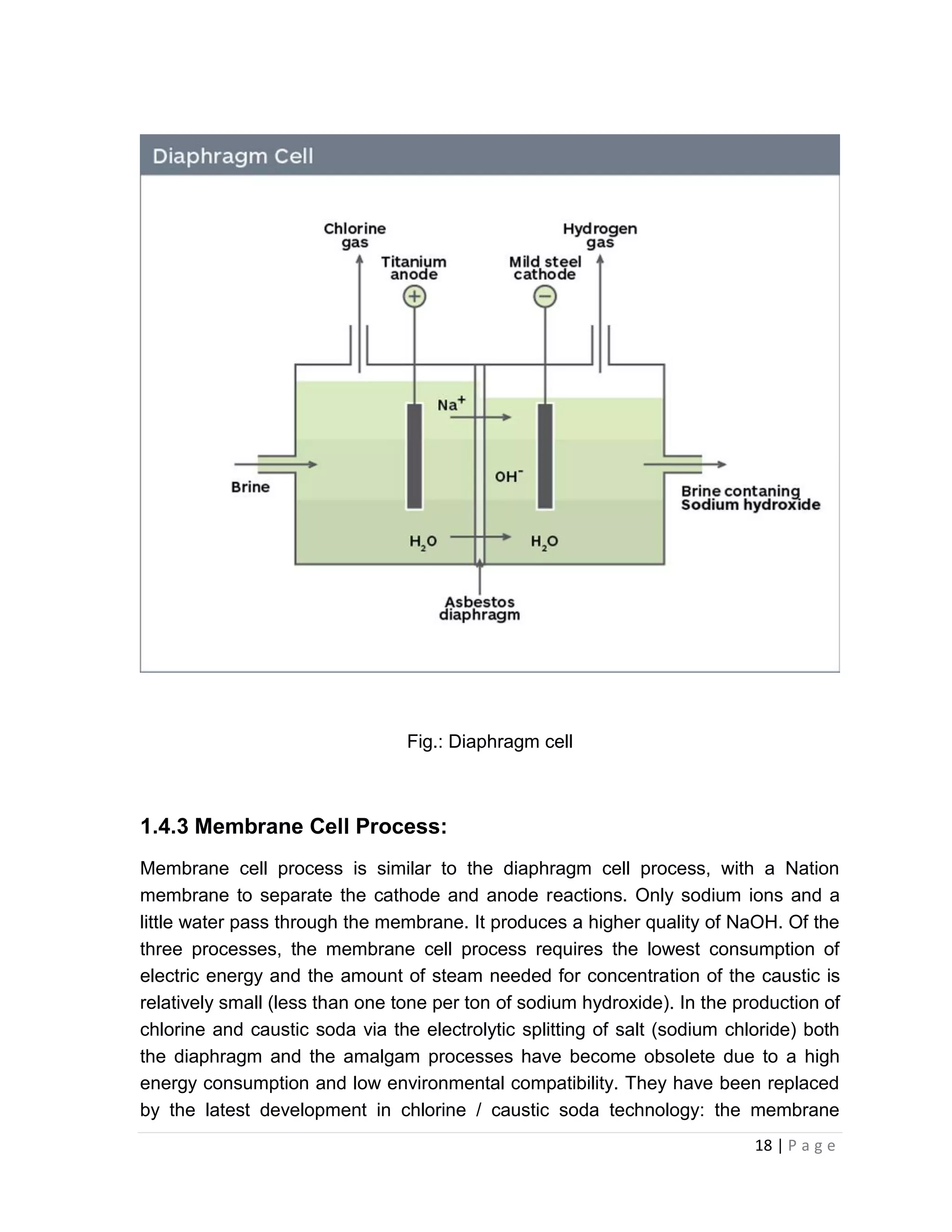 Project paper on Chlor-Alkali process | PDF