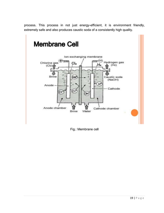 Project paper on Chlor-Alkali process | PDF