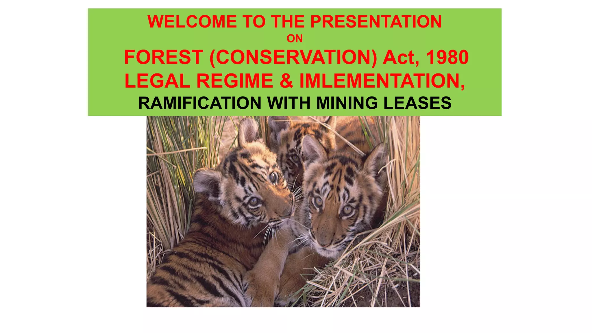 6. THE FOREST (CONSERVATION) MAPS, BIODIVERSITY INDEXING, WILDLIFE ...