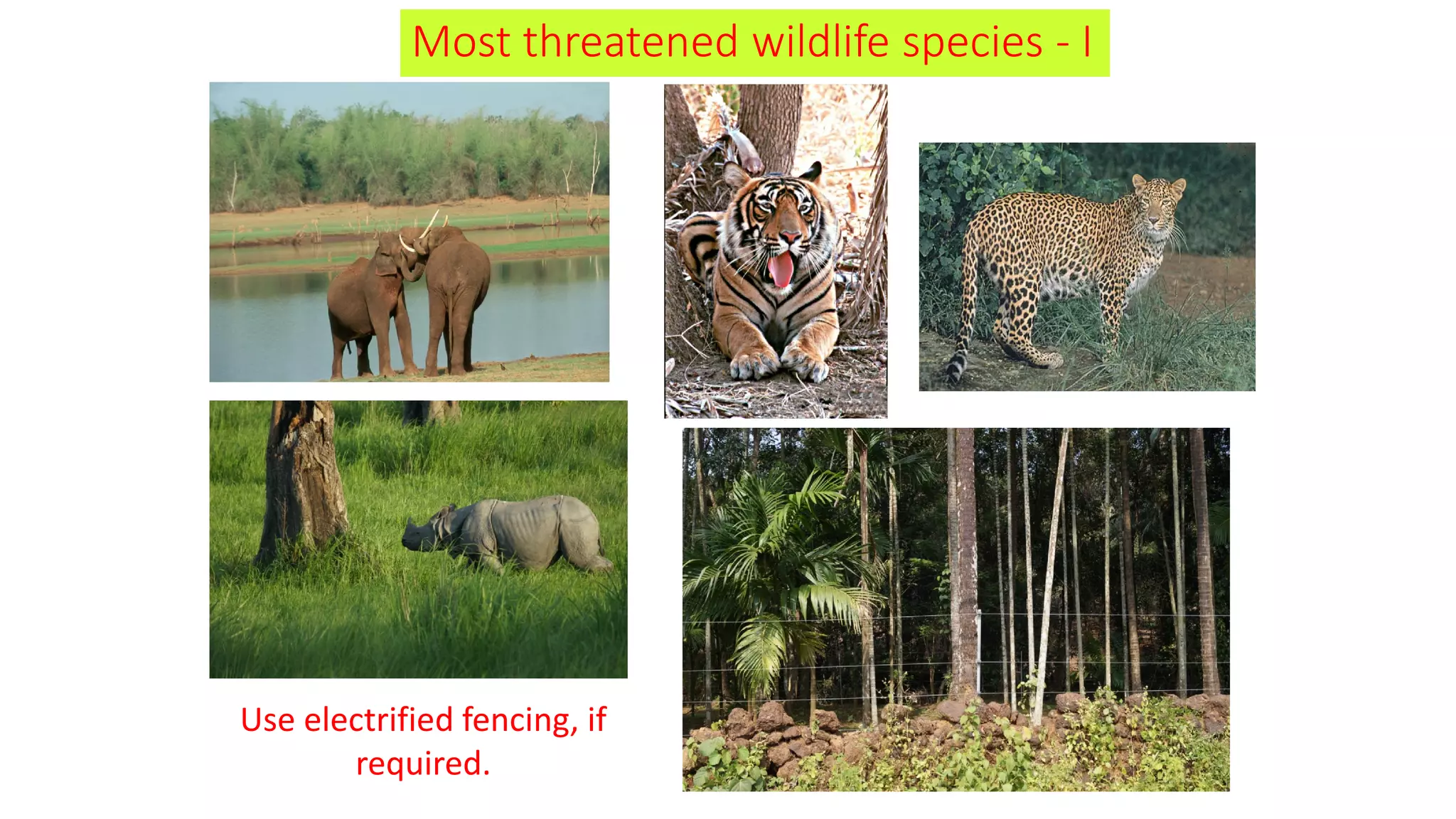6. THE FOREST (CONSERVATION) MAPS, BIODIVERSITY INDEXING, WILDLIFE ...