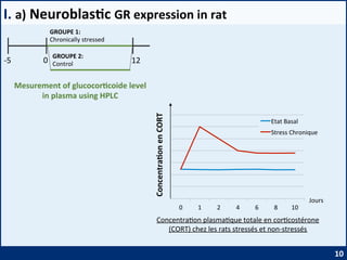 Neurogenesis & stress (EN) | PPT