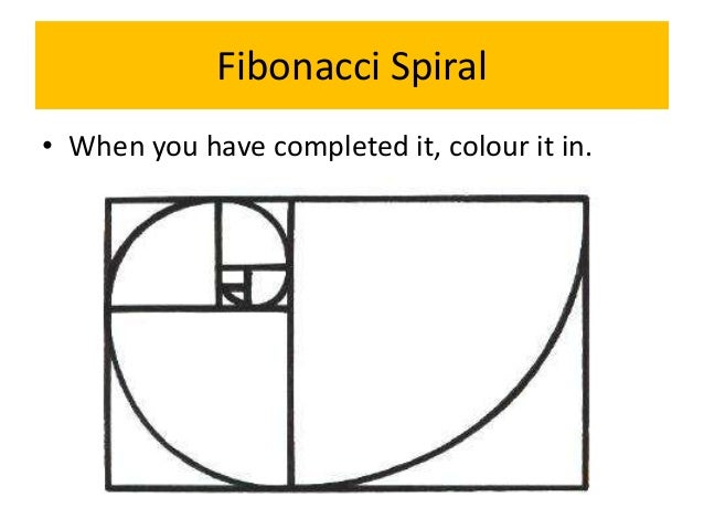 6) fibonacci spiral
