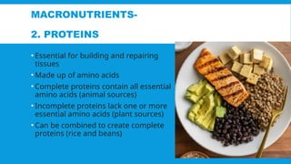 6 FOOD GROUPS & FUNCTIONS IN THE BODY.pptx