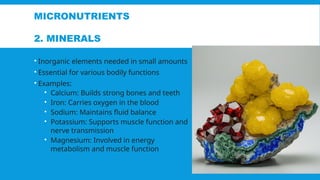 6 FOOD GROUPS & FUNCTIONS IN THE BODY.pptx