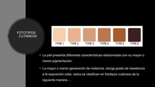 Conoce los seis FOTOTIPOS cutaneos de la piel.pptx