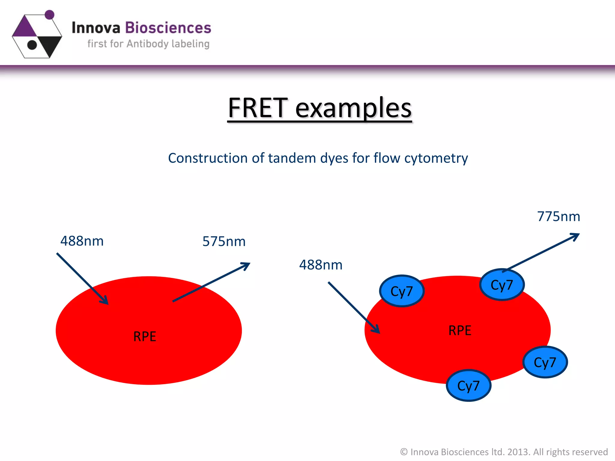 A Beginner’s Guide to the Principles and Applications of FRET | PDF