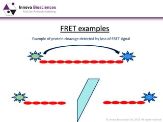 A Beginner’s Guide to the Principles and Applications of FRET | PDF