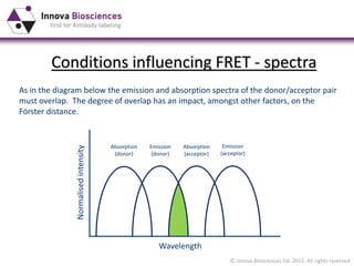 A Beginner’s Guide to the Principles and Applications of FRET | PDF