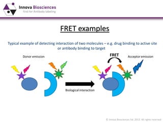 A Beginner’s Guide to the Principles and Applications of FRET | PPT