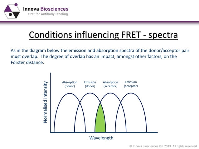 A Beginner’s Guide to the Principles and Applications of FRET | PPT