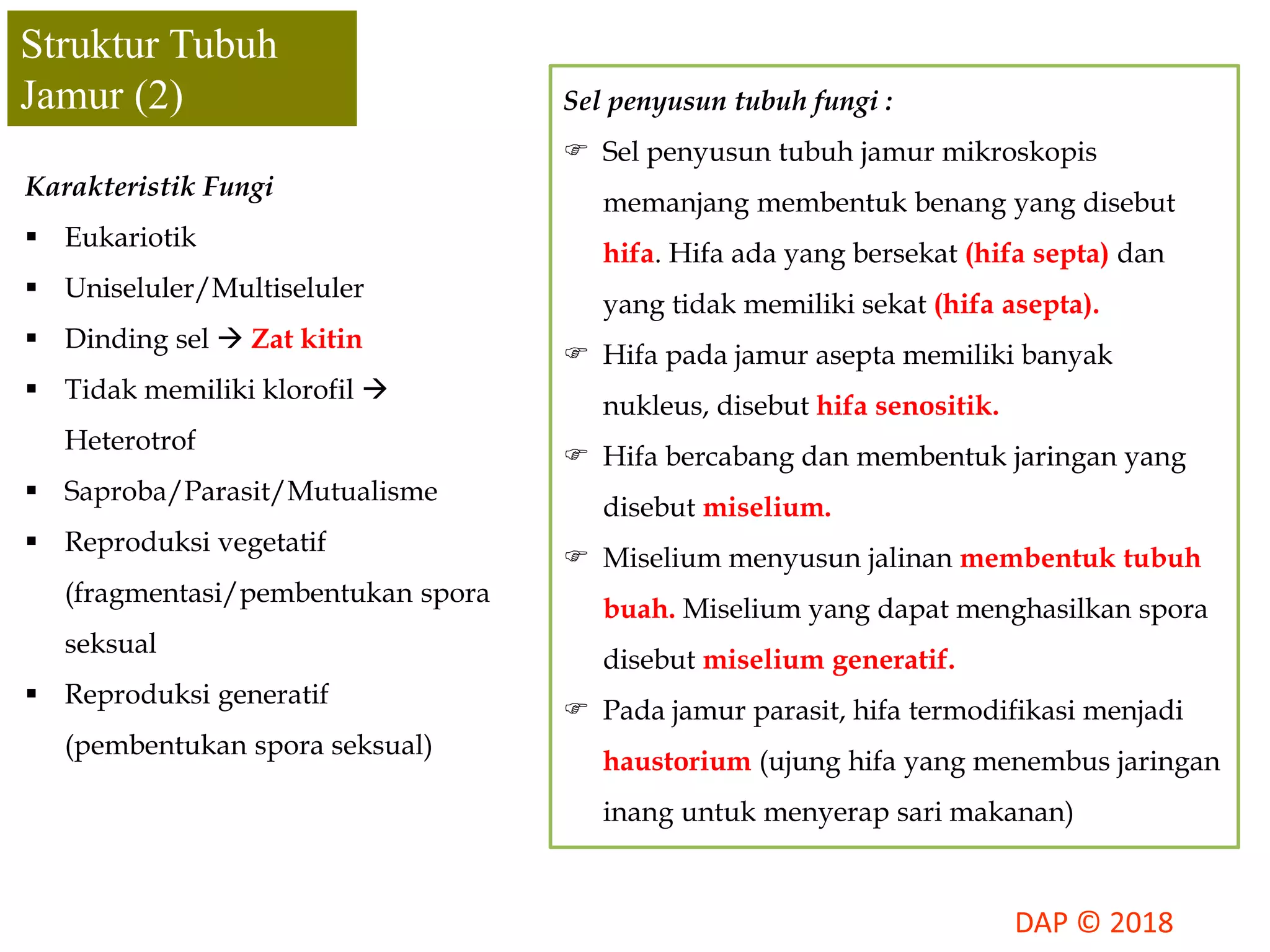 Kingdom Fungi | PPTX