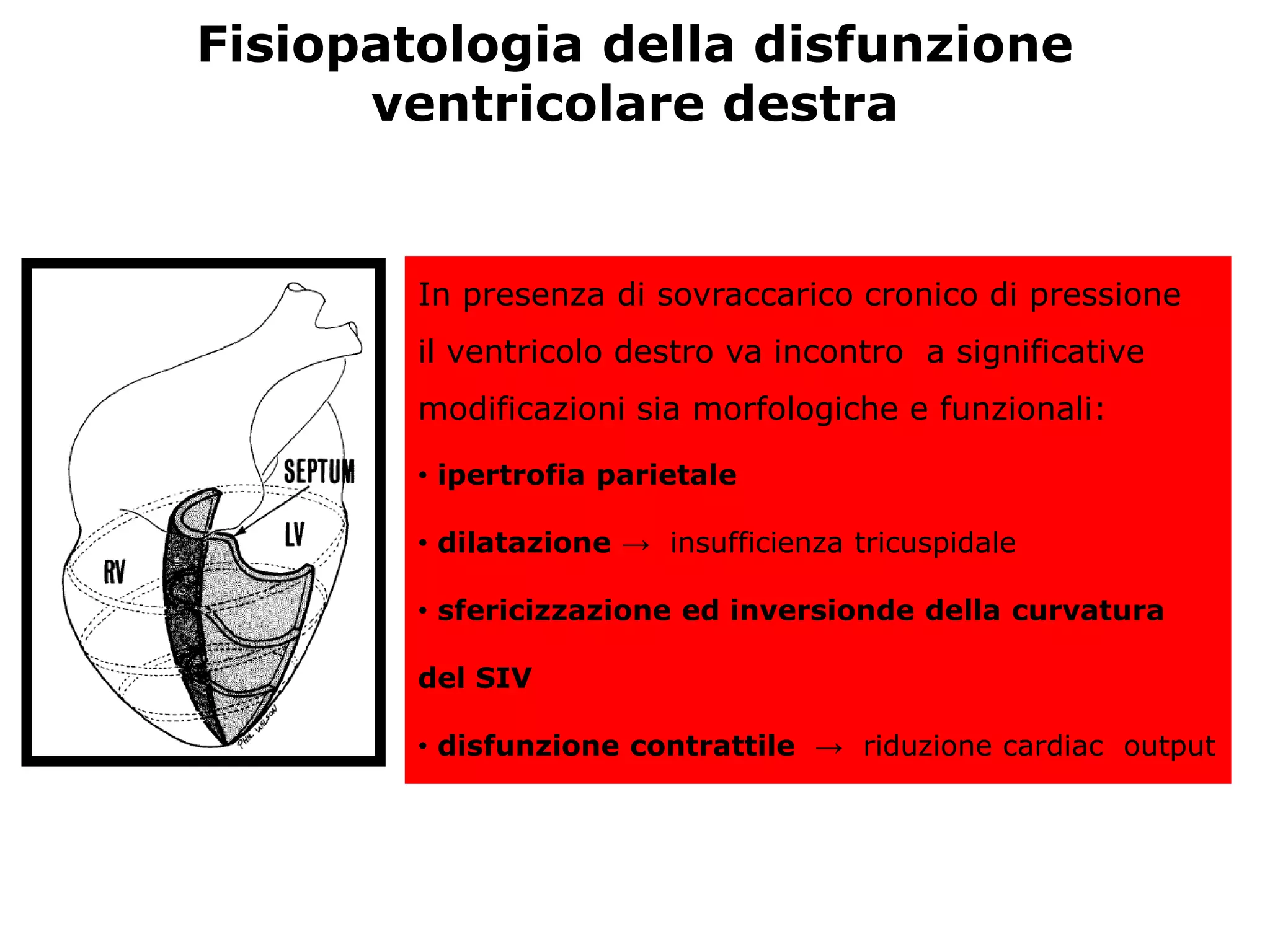 La valutazione ecocardiografica della funzione ventricolare destra | PPTX
