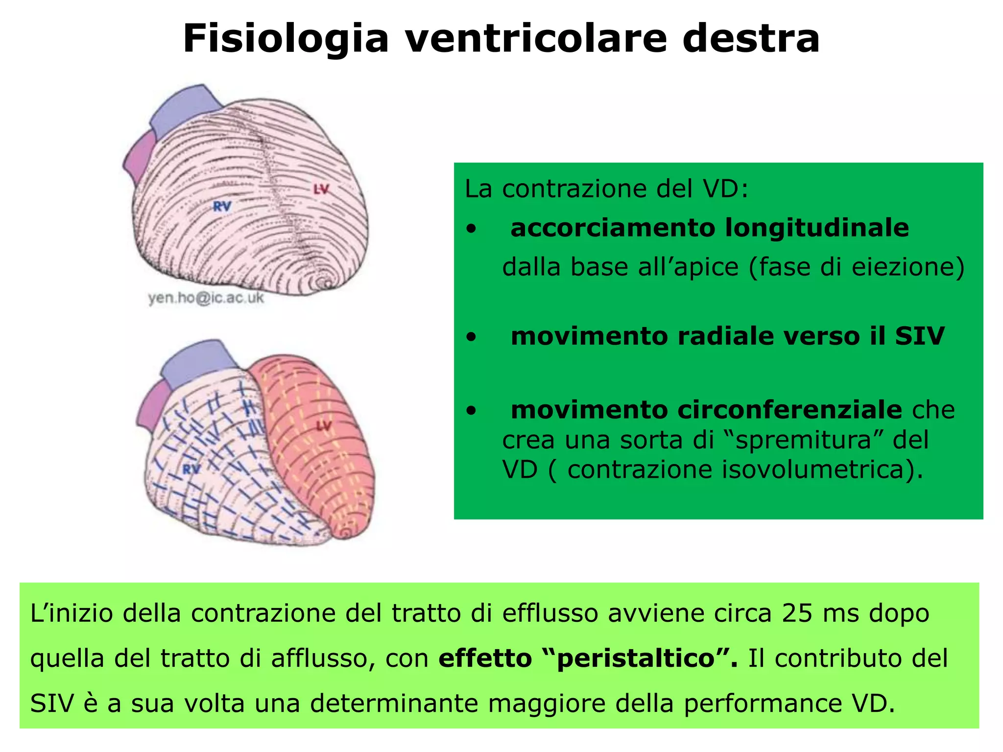La valutazione ecocardiografica della funzione ventricolare destra | PPTX