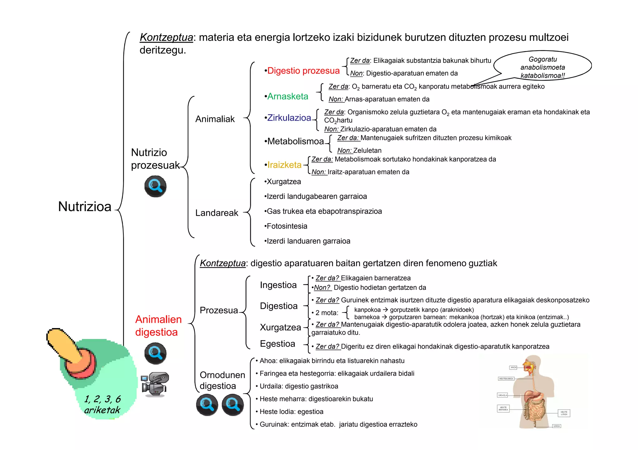 6 gaia | PDF