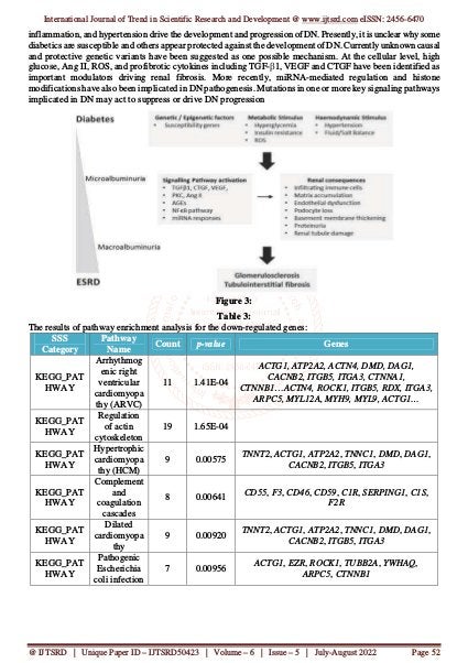 Gene Expression And Pathway Detection For Diabetic Nephropathy Using Computational Intelligence