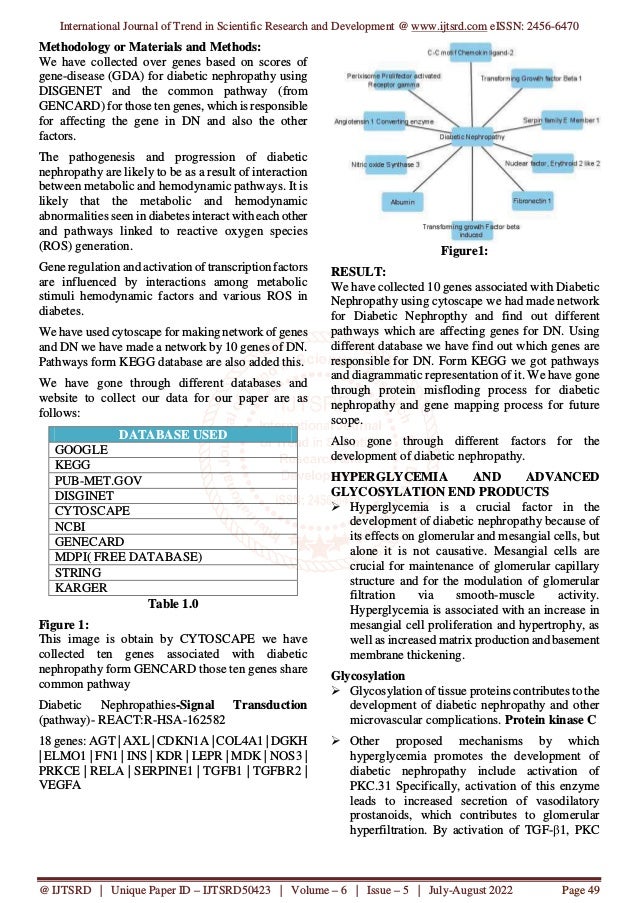 Gene Expression And Pathway Detection For Diabetic Nephropathy Using Computational Intelligence
