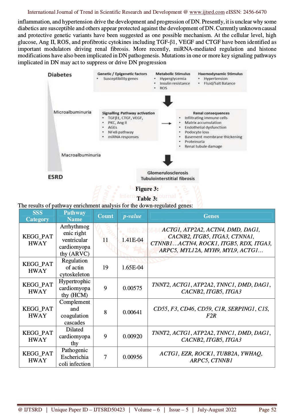Gene Expression And Pathway Detection For Diabetic Nephropathy Using Computational Intelligence
