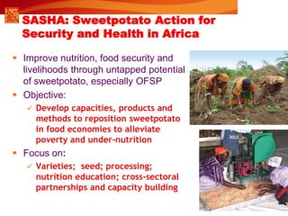 Gordon Prain - Agriculture - Health Linkages Research at CIP | PPTX ...