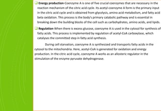 Coenzyme A | PPTX