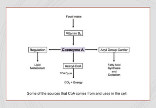 Coenzyme A | PPTX