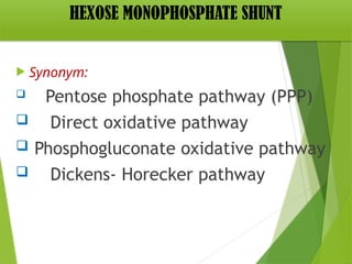 6 HMP SHUNT- alternate glucose oxidation pathway | PPTX