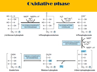6 HMP SHUNT- alternate glucose oxidation pathway | PPTX