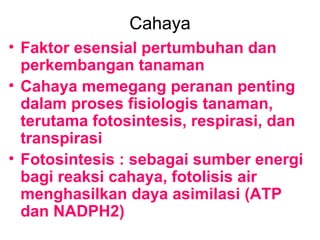 6 Hubungan Cahaya Tanaman | PPT
