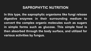 Saprophytic nutirtion | PPTX