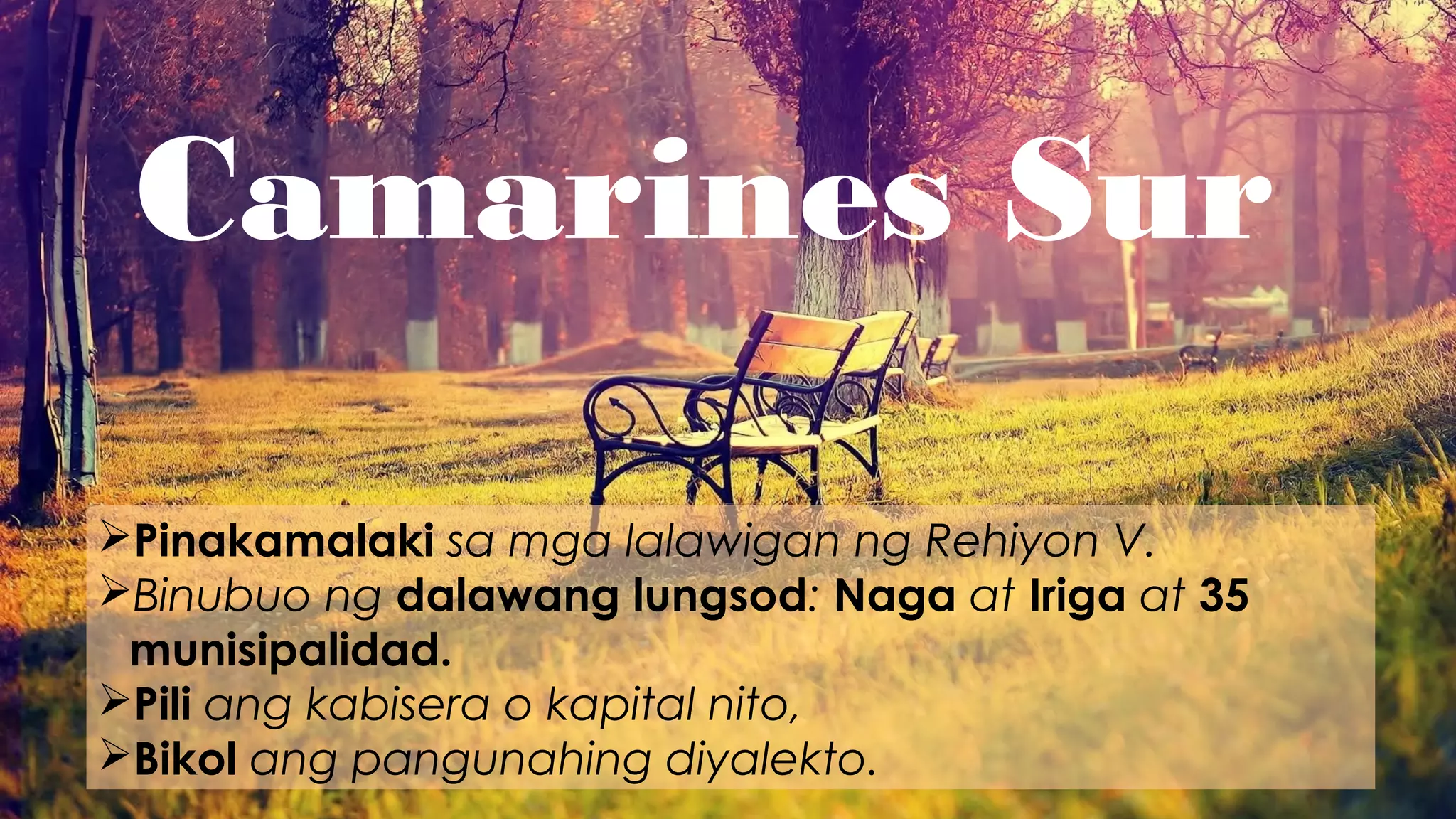 Fil30 rehiyon5 - Bicol Region | PPT