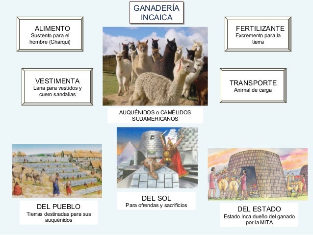 6 incas economía i 1 ro