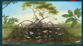 6 interactions-living=non living.pptx