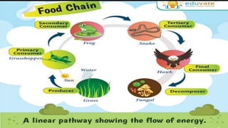 6 interactions-living=non living.pptx