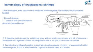 Immunology of aquatic animals | PDF