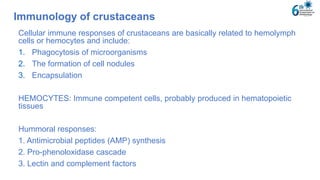 Immunology of aquatic animals | PDF