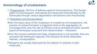 Immunology of aquatic animals | PDF