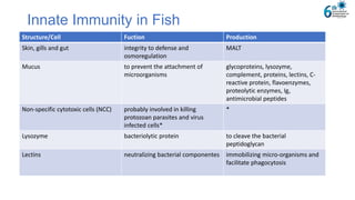 Immunology of aquatic animals | PDF