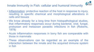 Immunology of aquatic animals | PDF