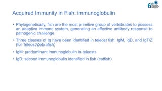 Immunology of aquatic animals | PDF
