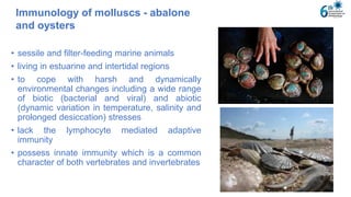 Immunology of aquatic animals | PDF